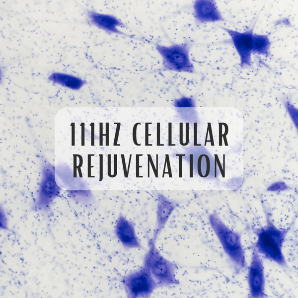 111 Hz Cellular Rejuvenation – Encoded Frequencies Pty Ltd